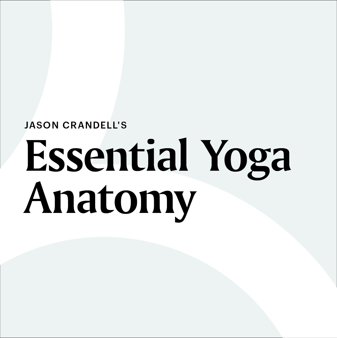 Essential yoga anatomy with Jason Crandell